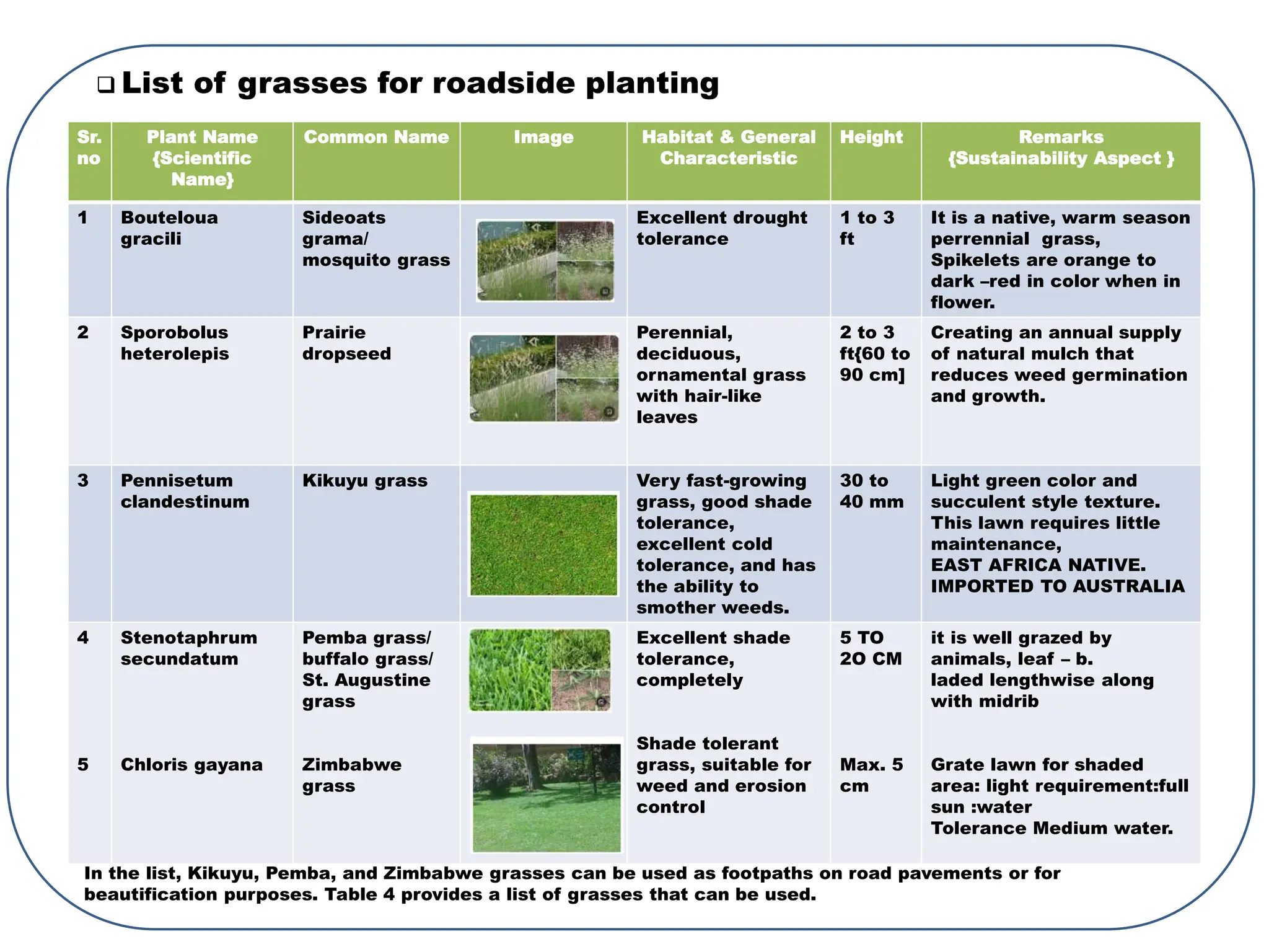 ROAD SIDE TREE PLANTING IN LANDCAPE..pdf