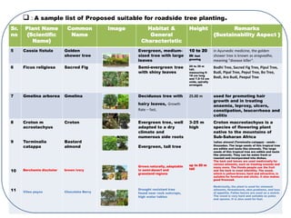 ROAD SIDE TREE PLANTING IN LANDCAPE..pdf