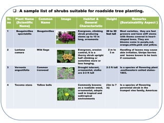 ROAD SIDE TREE PLANTING IN LANDCAPE..pdf