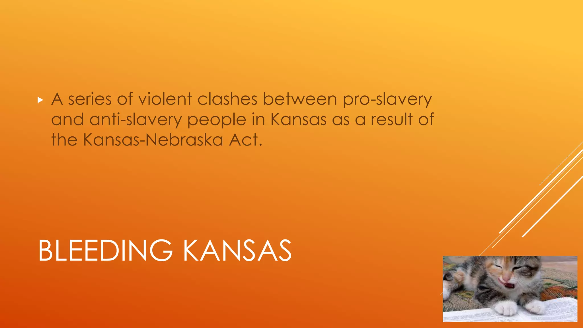 Road to the civil war scavenger hunt key | PPTX