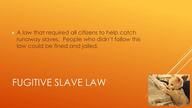 Road to the civil war scavenger hunt key | PPTX