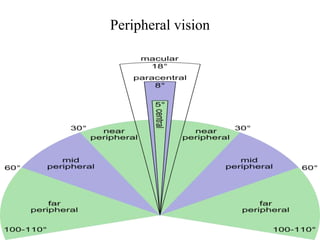 Road user characteristics | PPTX