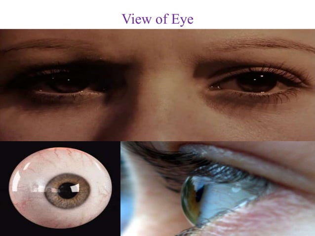 Road user characteristics | PPTX