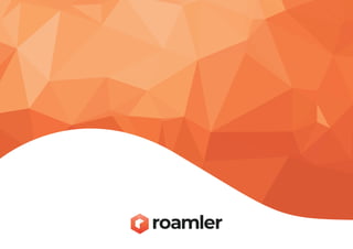Roamler yearly-report-2019 | PDF