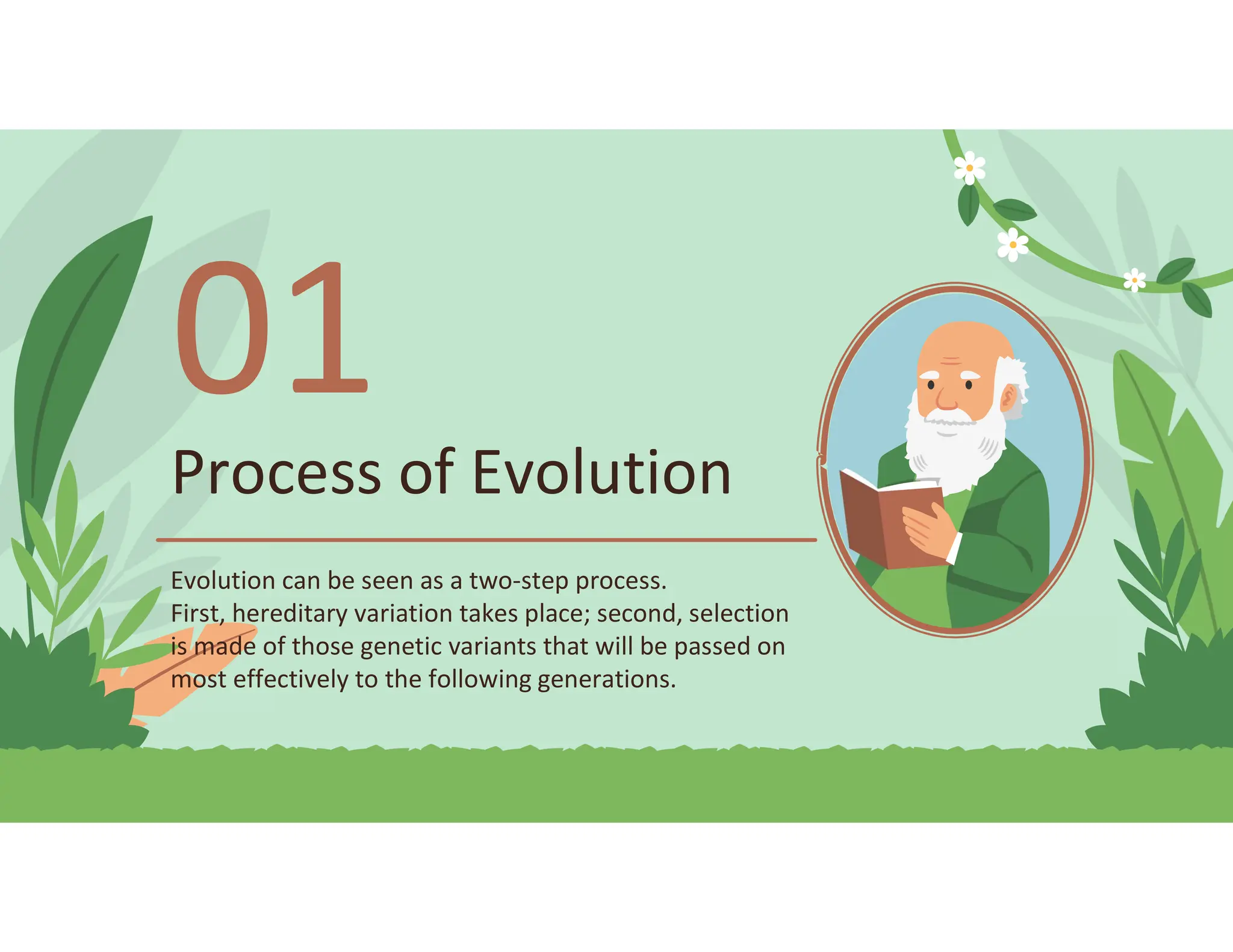 The Process of Evolution The Process of Evolution | PDF