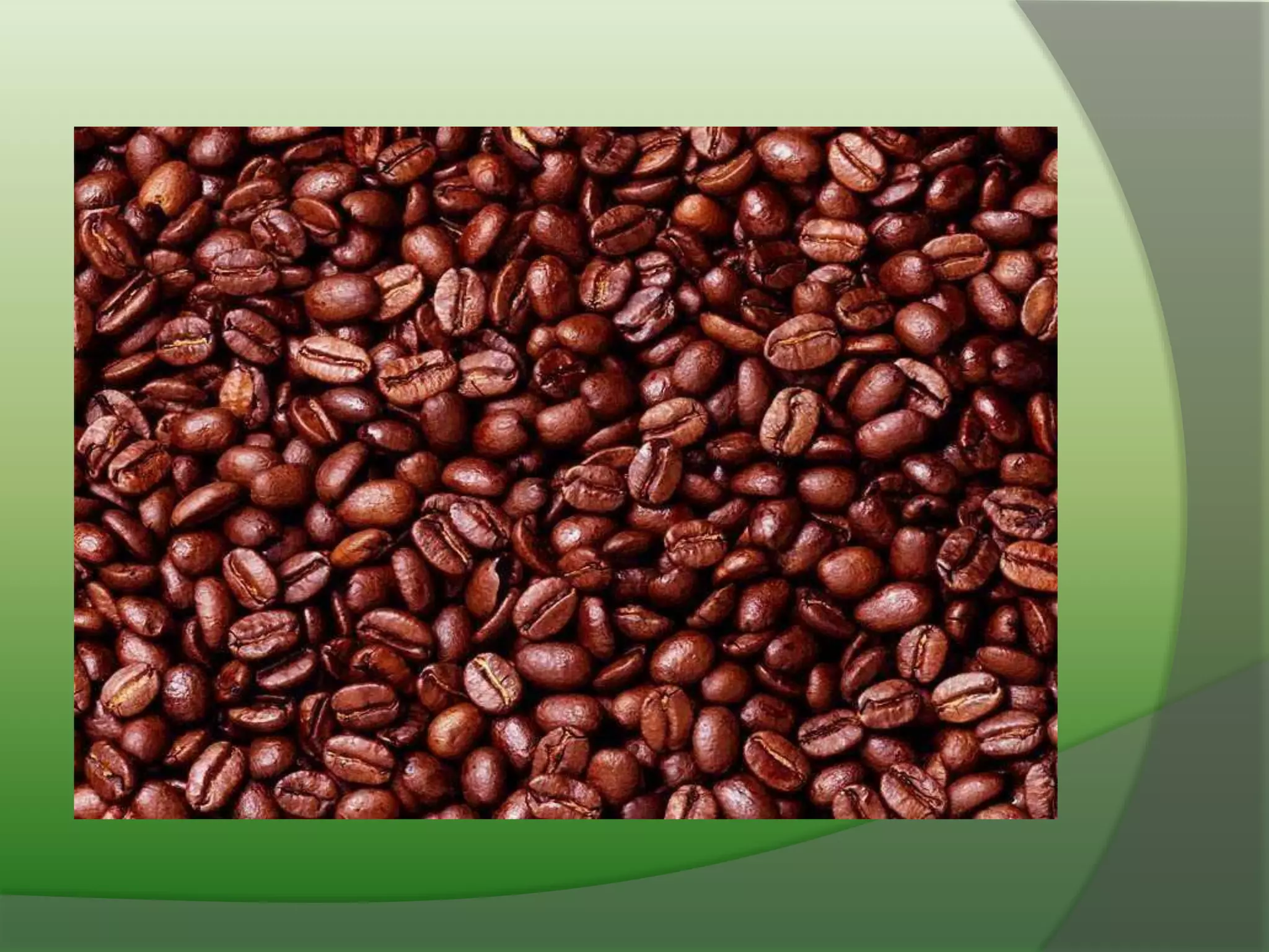 Roasted cocoa beans uses | PPTX