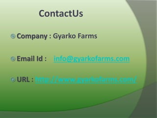 Roasted cocoa beans uses | PPTX