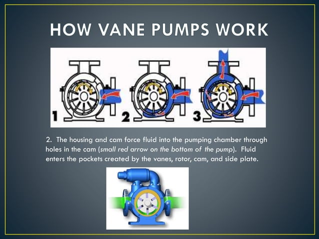 Rotary Vane Pump