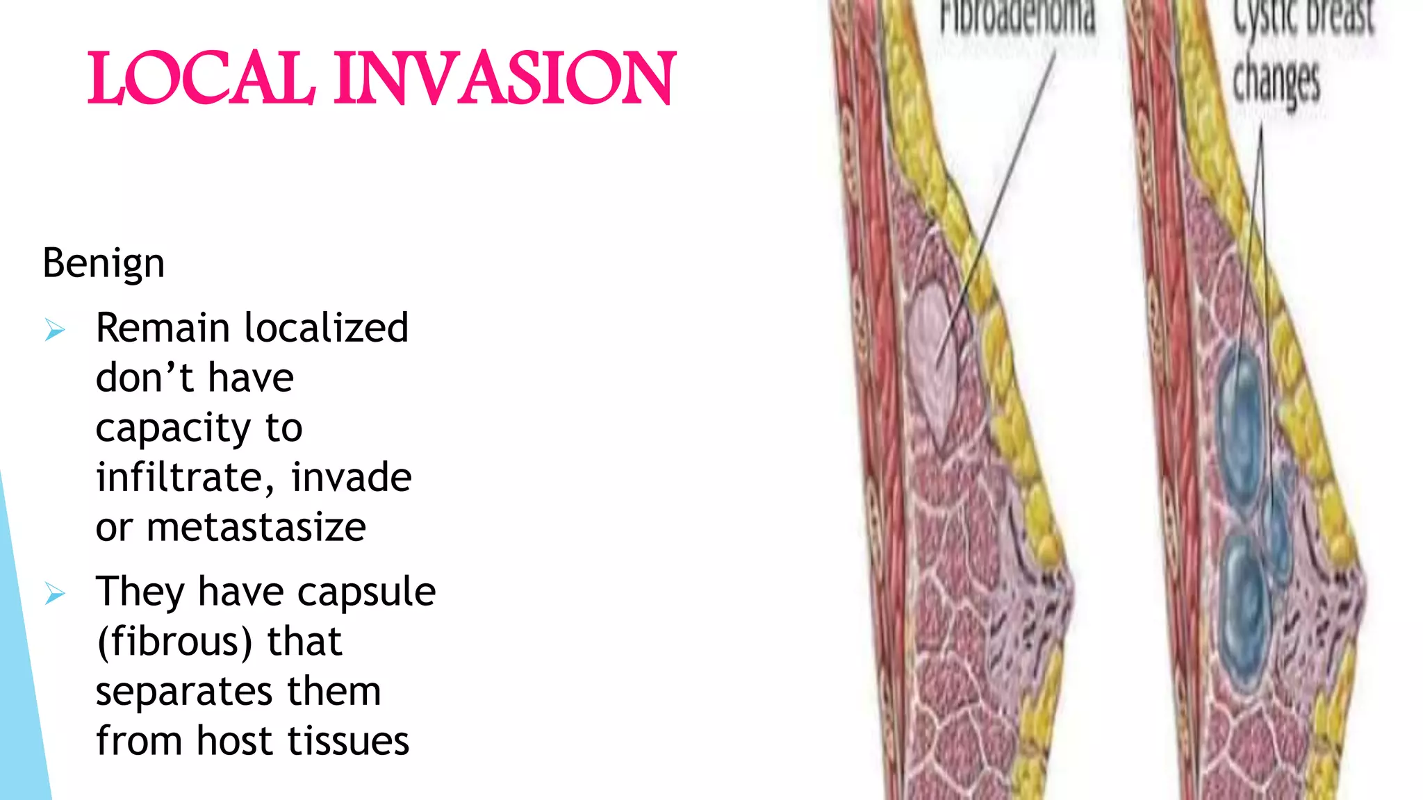 DIFFERENCE BETWEEN BENIGN AND MALIGNANT NEOPLASM (CANCER) | PPTX