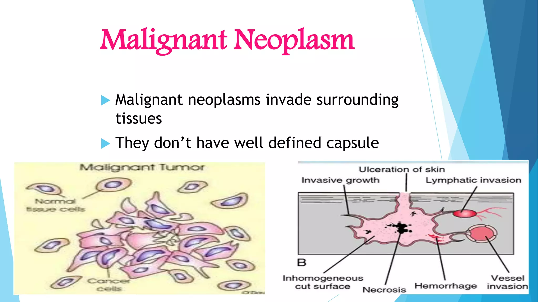 Difference Between Benign And Malignant Neoplasm Cancer Pptx