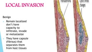 DIFFERENCE BETWEEN BENIGN AND MALIGNANT NEOPLASM (CANCER) | PPTX