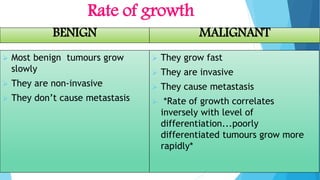 Malignant Tumor Vs Benign