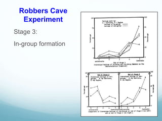 Robbers Cave Study Summary | PPTX