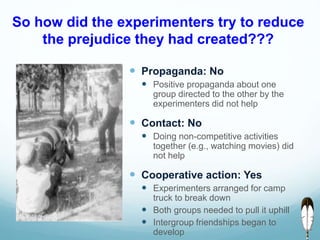 Robbers Cave Study Summary | PPTX