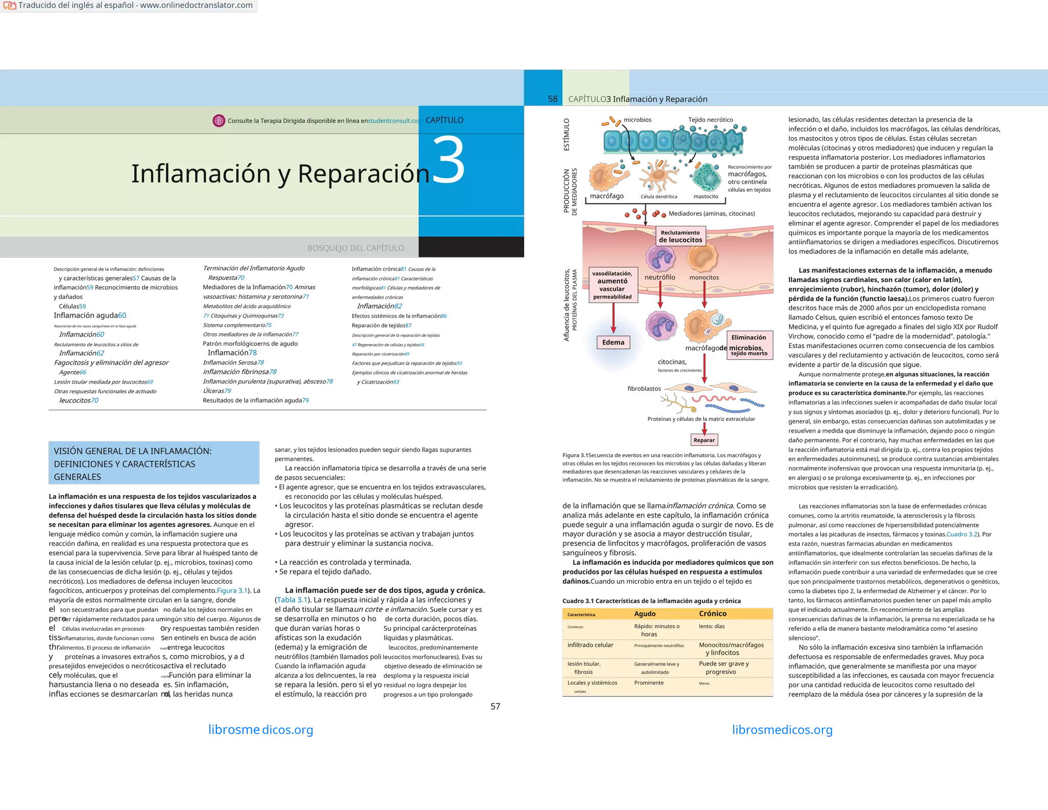 Robbins Basic Pathology 10e CapÃ_tulo 3 inflamacion_compressed.en.es.pdf