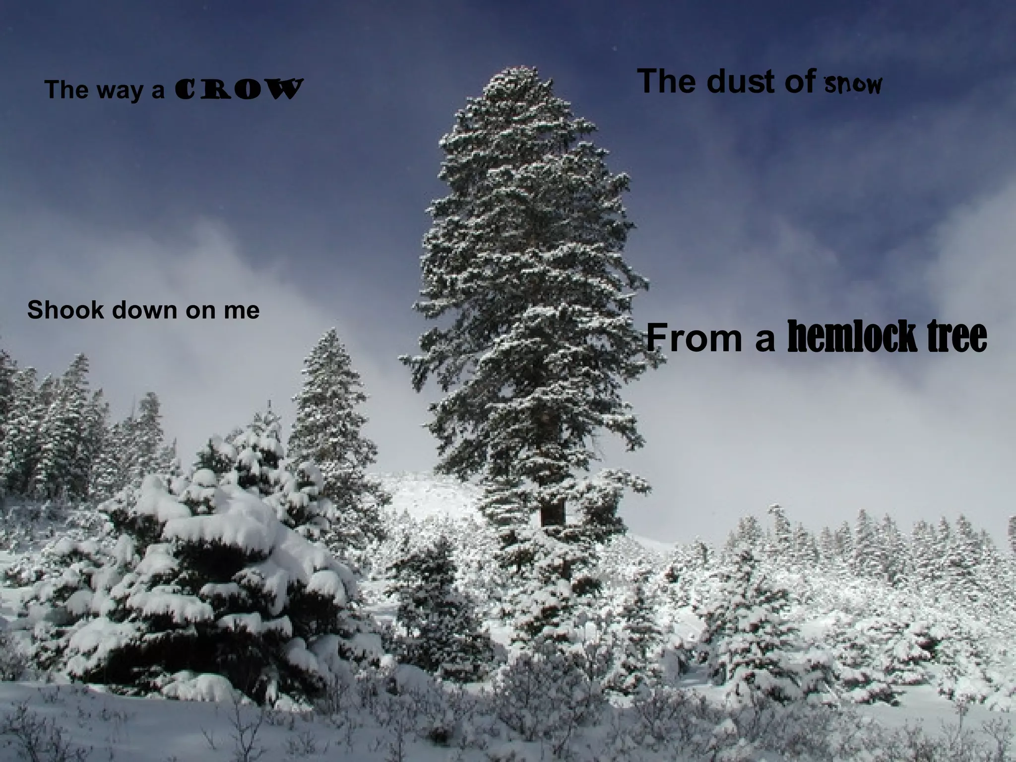 Robert Frost Poem | PPT