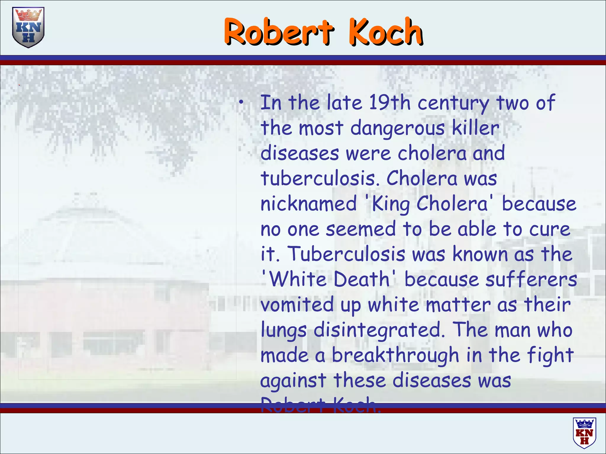 Robert Koch | PPT