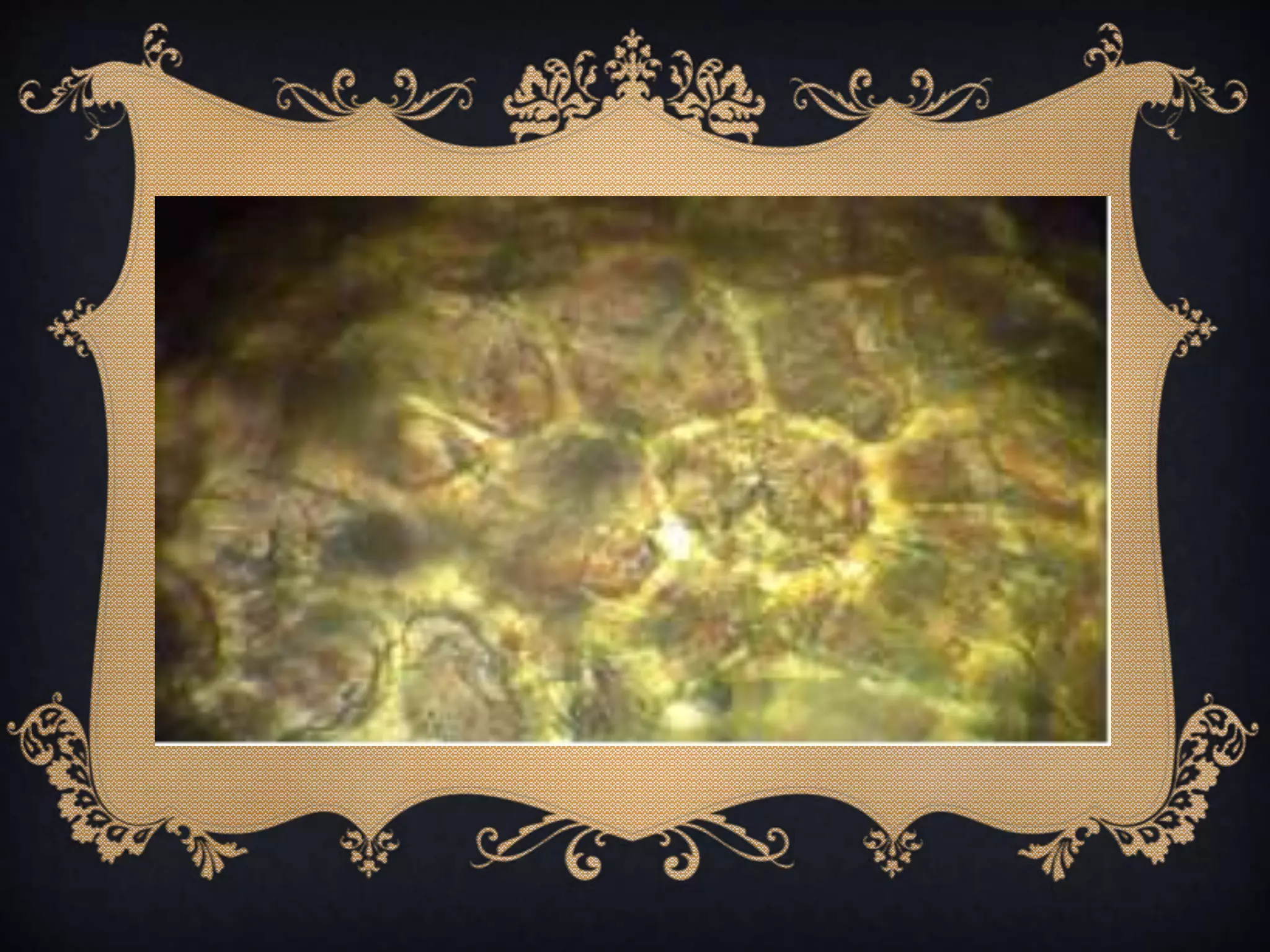 Robert hooke | PPTX
