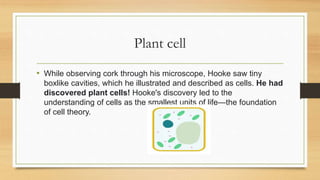 Robert Hooke discovery.pptx