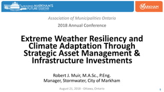 Extreme Weather Resiliency and Climate Adaptation Through Strategic ...