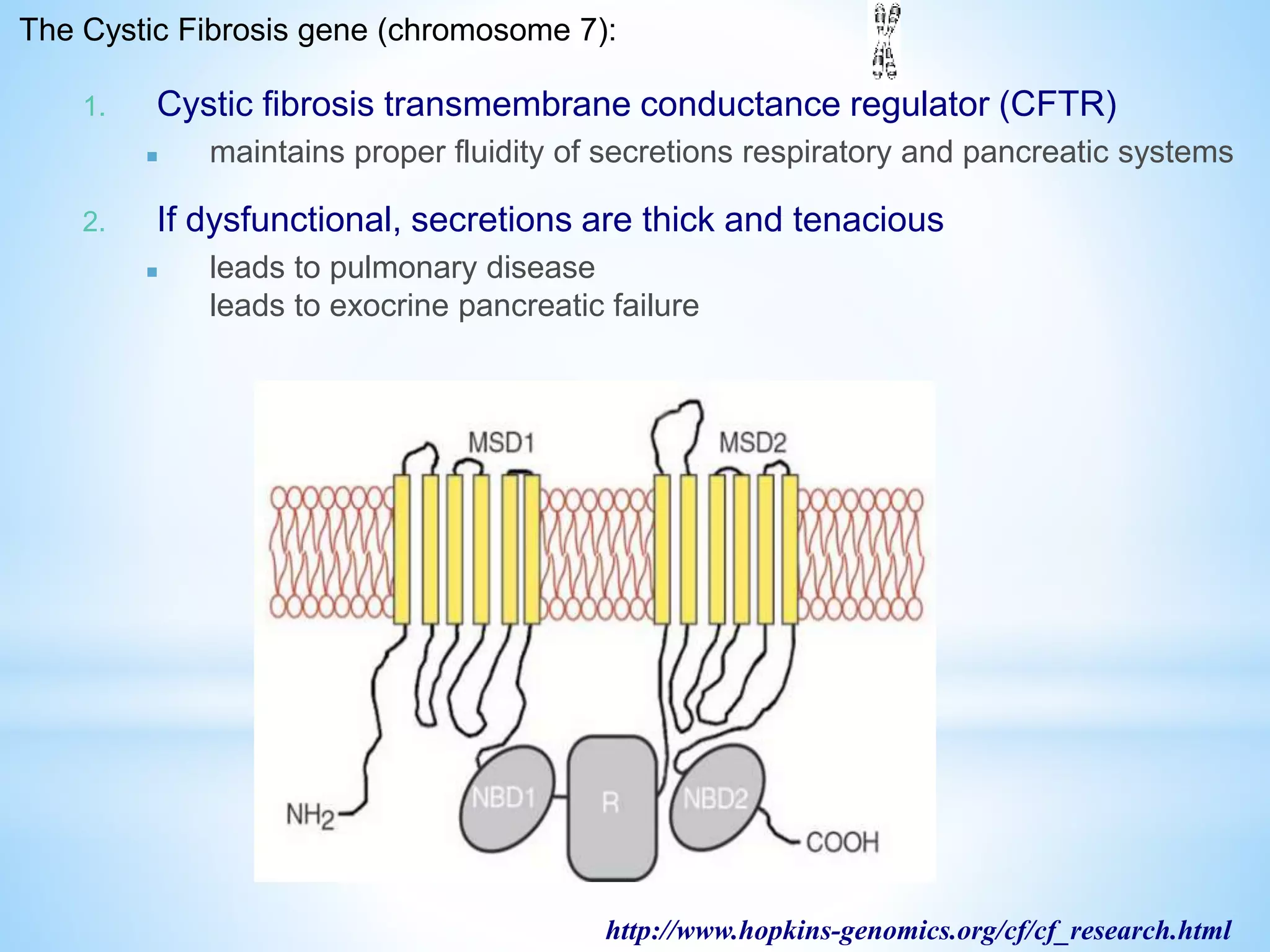 Robert Oates, M.D. - Microsurgical Epididymal Sperm Aspiration | PDF