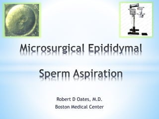 Robert Oates, M.D. - Microsurgical Epididymal Sperm Aspiration | PDF