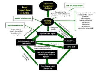 "Soil health preservation, soil biodiversity and nutrient cycling " | PPT