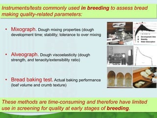 Reliability of gluten-related small-scale tests to estimate dough ...