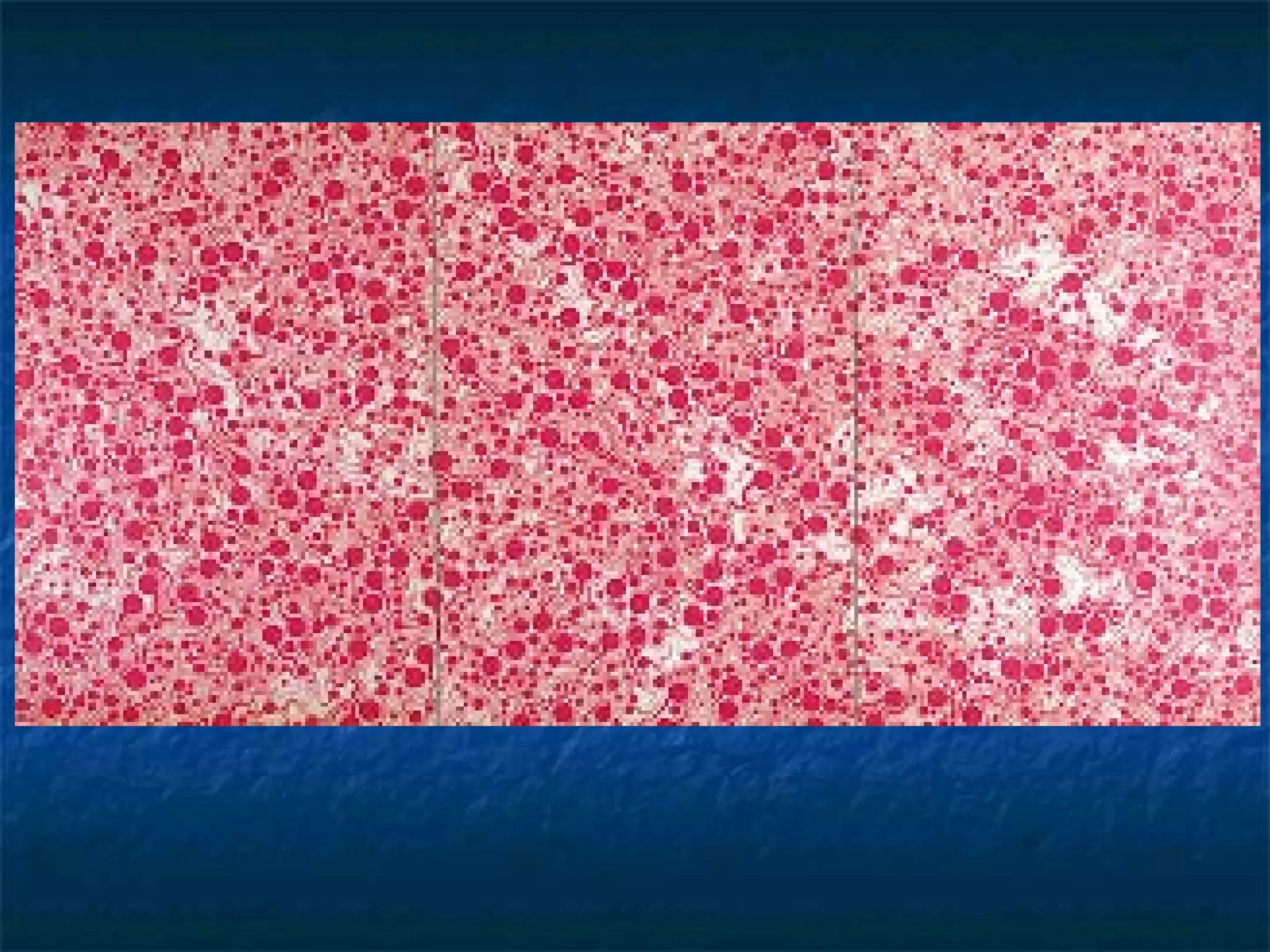 Roberto rincon | PPS