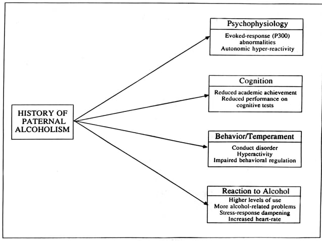 Multiple Pathways to Addiction - Robert Pihl | PPT | Free Download