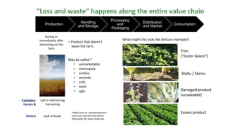 WBCSD CSA Workshop - Overview of Loss and Waste | PDF