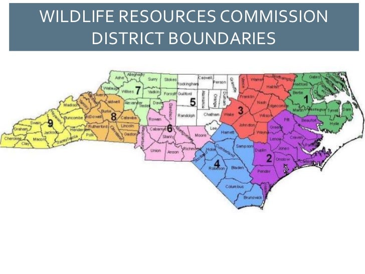 The Myth of Regionalism