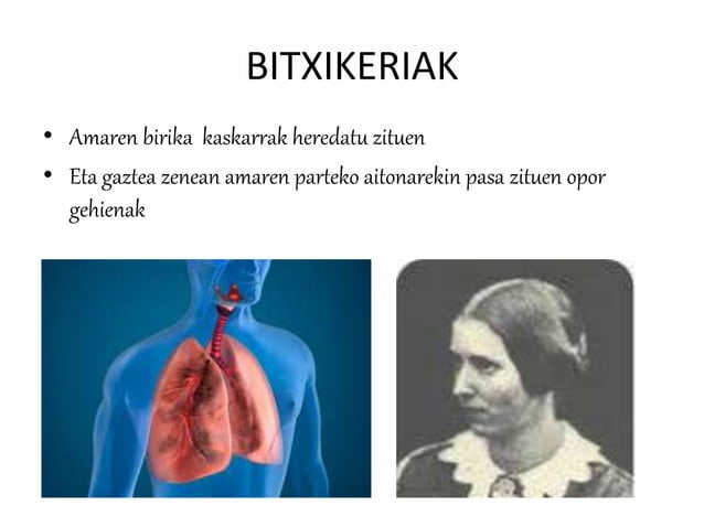 Robert stevenson | PPTX