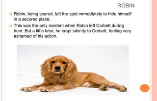 Robin | PPTX