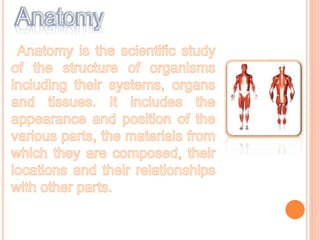 ppt on Fundamentals of Anatomy & Physiology Class 11 | PPTX