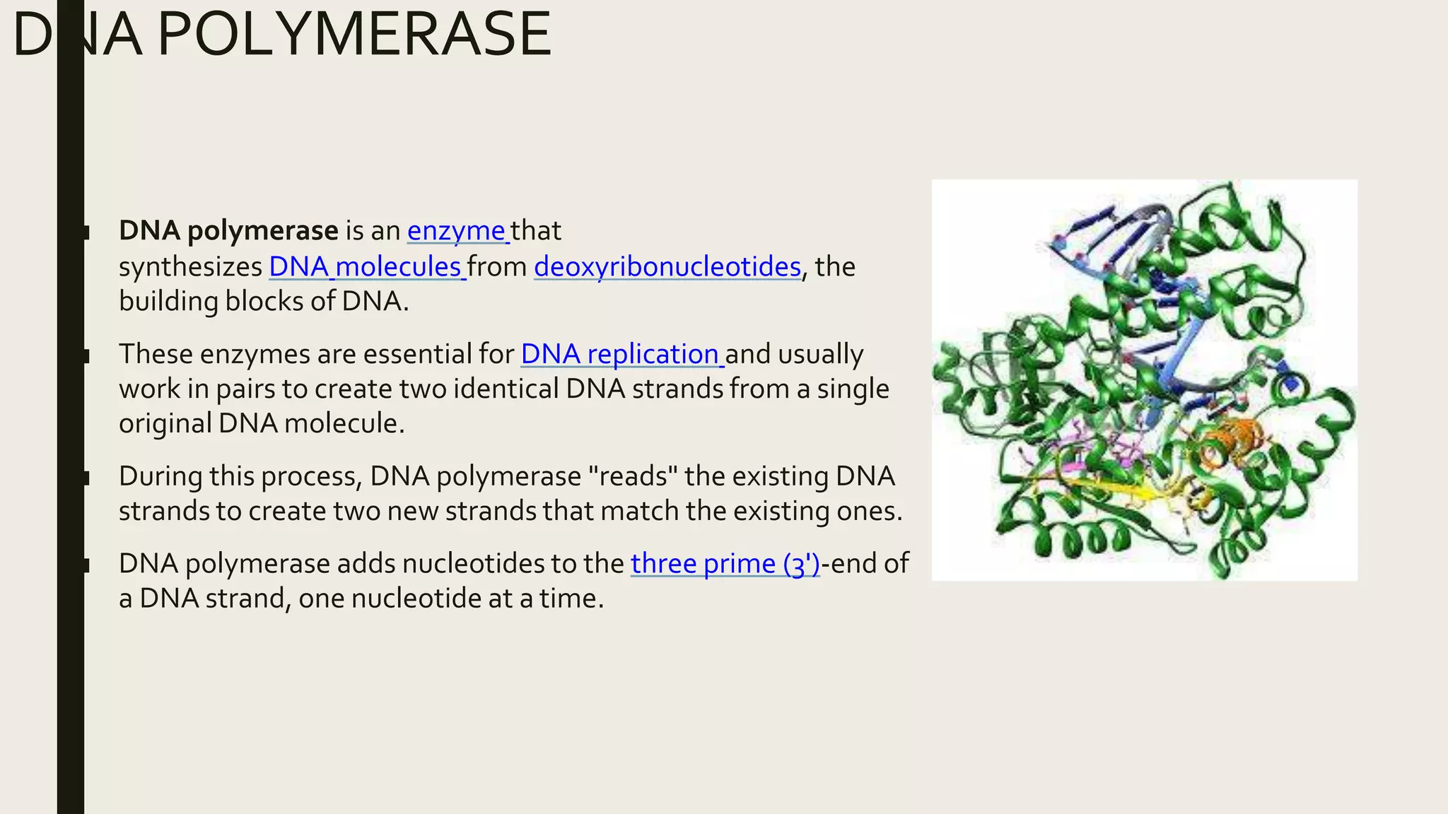 Dna polymerase | PPTX
