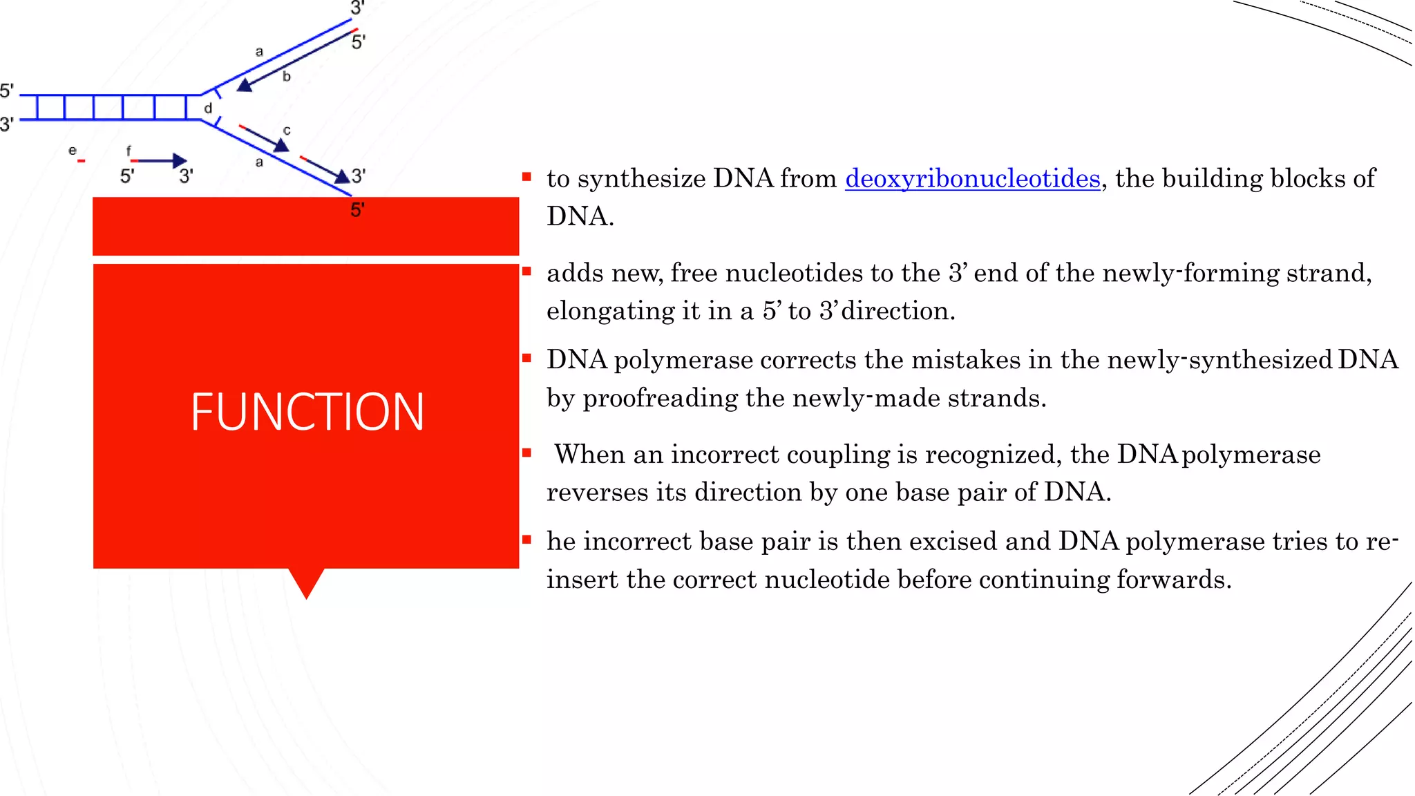 Dna polymerase | PPTX