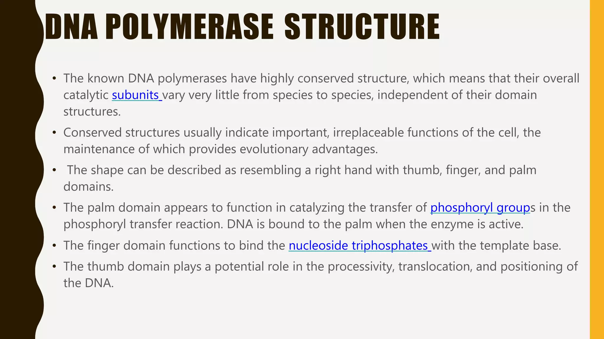 Dna polymerase | PPTX