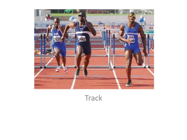 Lindsay's Power Point of Sports | PPTX