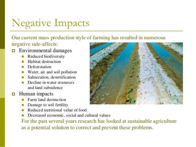 Negative Effects Of Environmental Issues