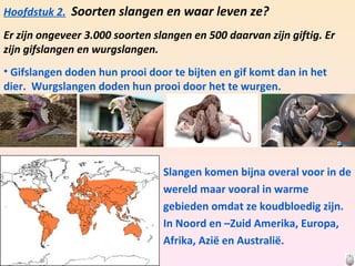 Robin spreekbeurt slangen | PPT