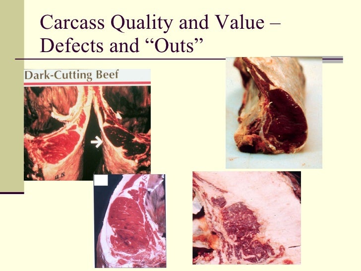 The Relationship Between Carcass Quality and Value