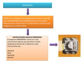 Robomind 1 | PPTX