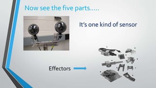 Robotics Knowledge, About robotics. | PPTX | Robotics | Technology ...