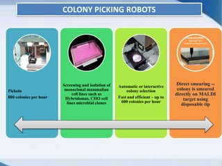 ROBOTIC FINAL (1).pptx | Robotics | Technology & Computing