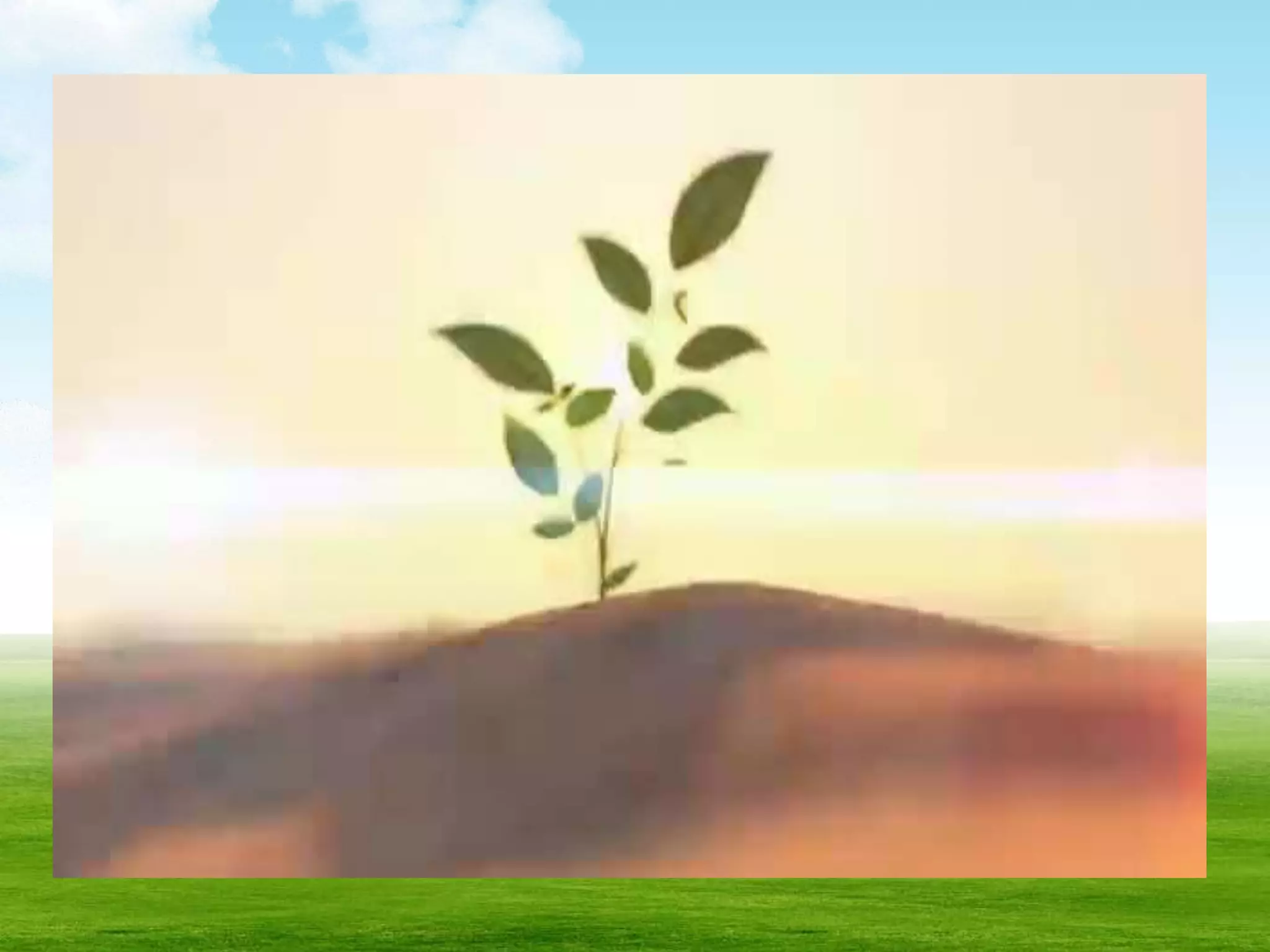 Pivot System and Robotics in Agriculture. | PPTX | Agriculture | Industries