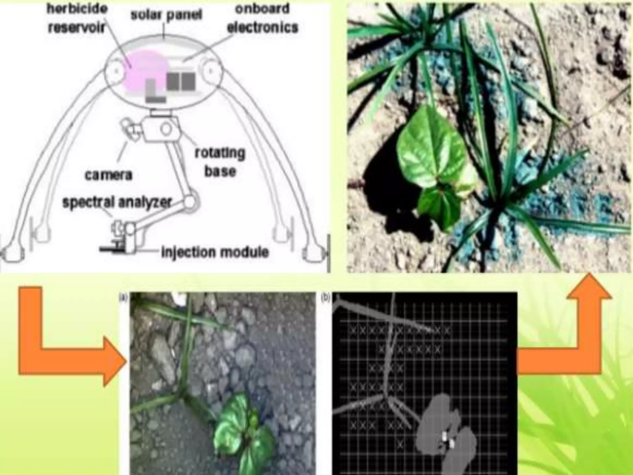 Pivot System and Robotics in Agriculture. | PPTX