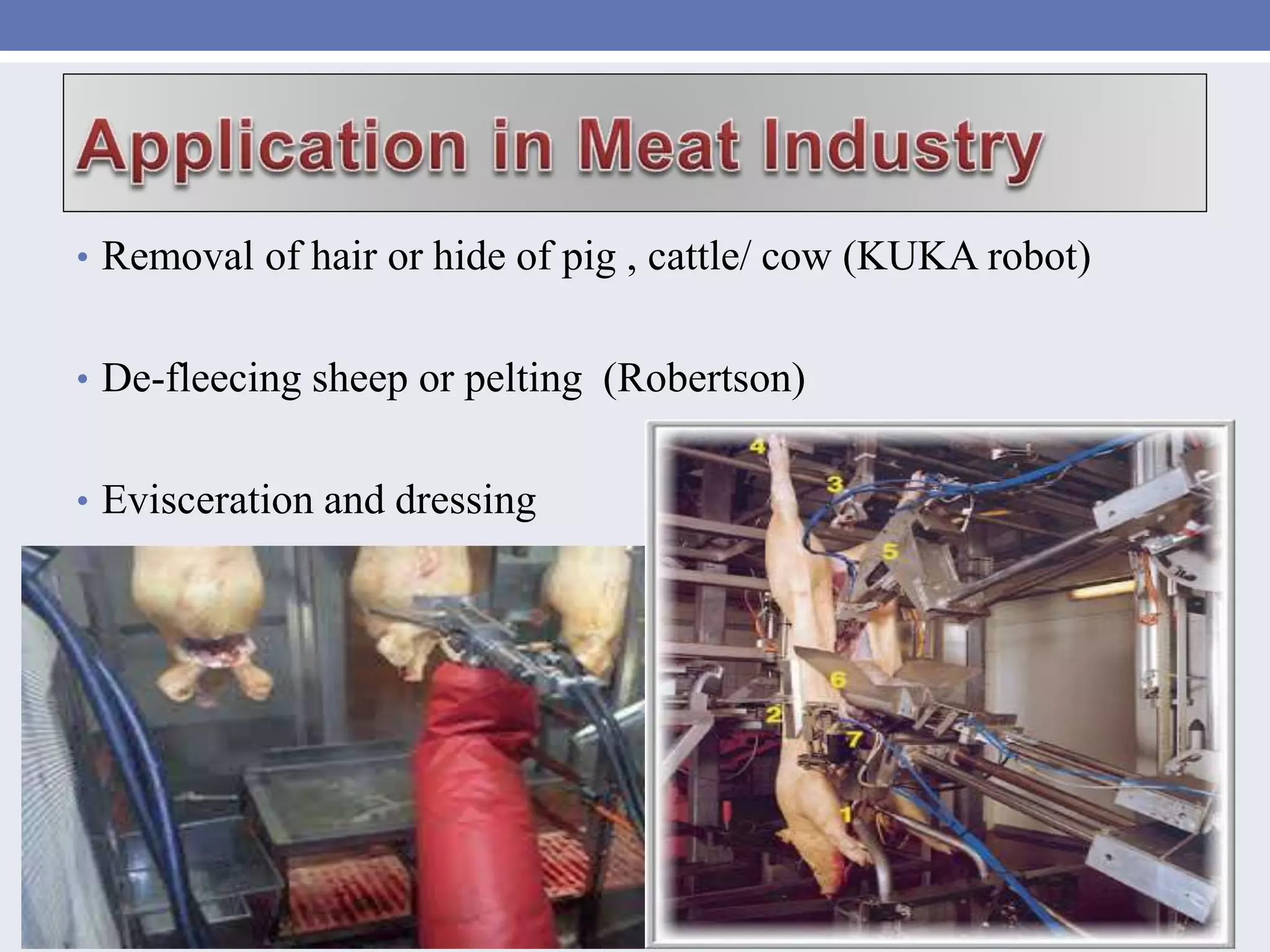Robotics in food processing | PPTX