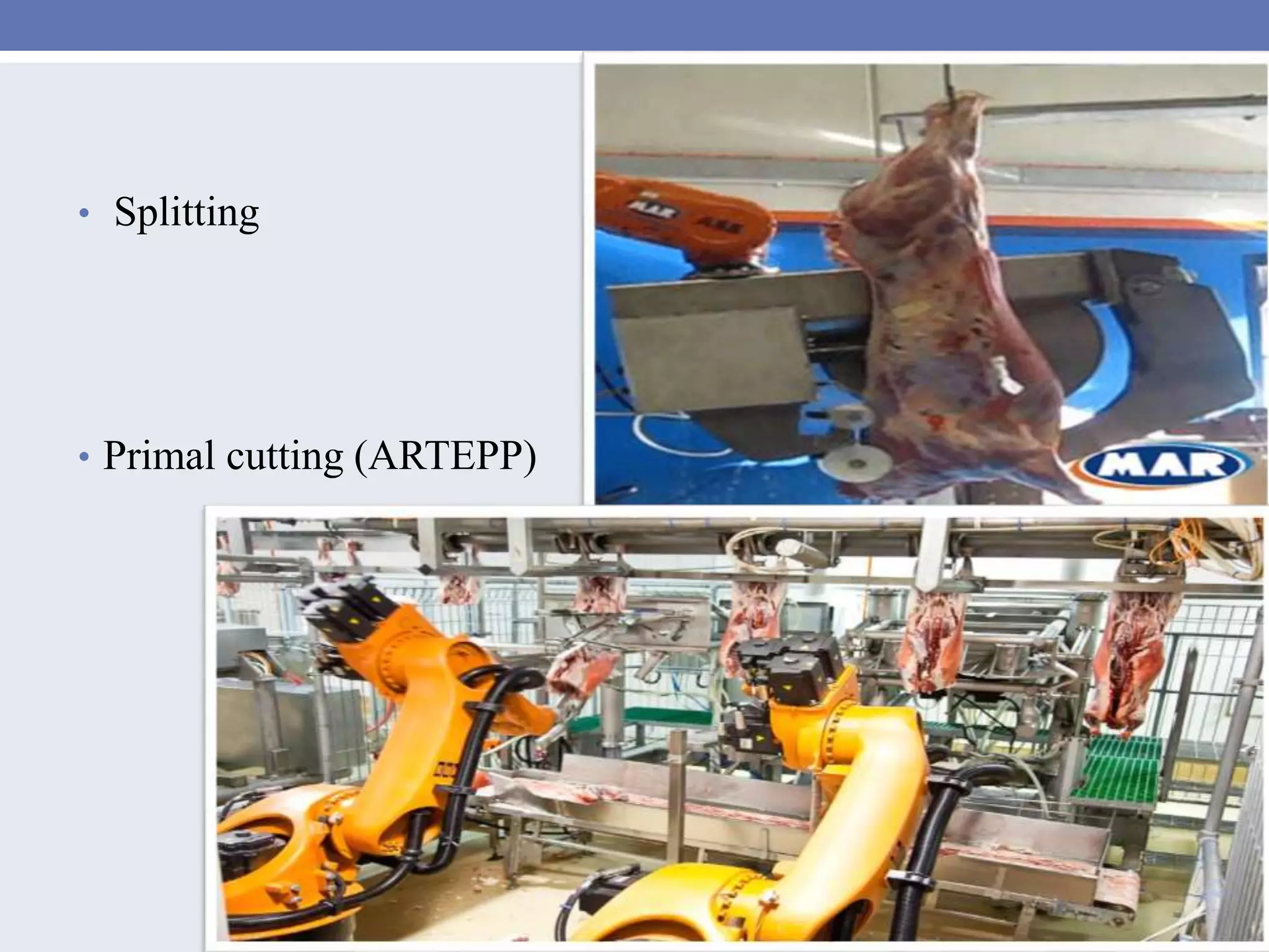 Robotics in food processing | PPTX
