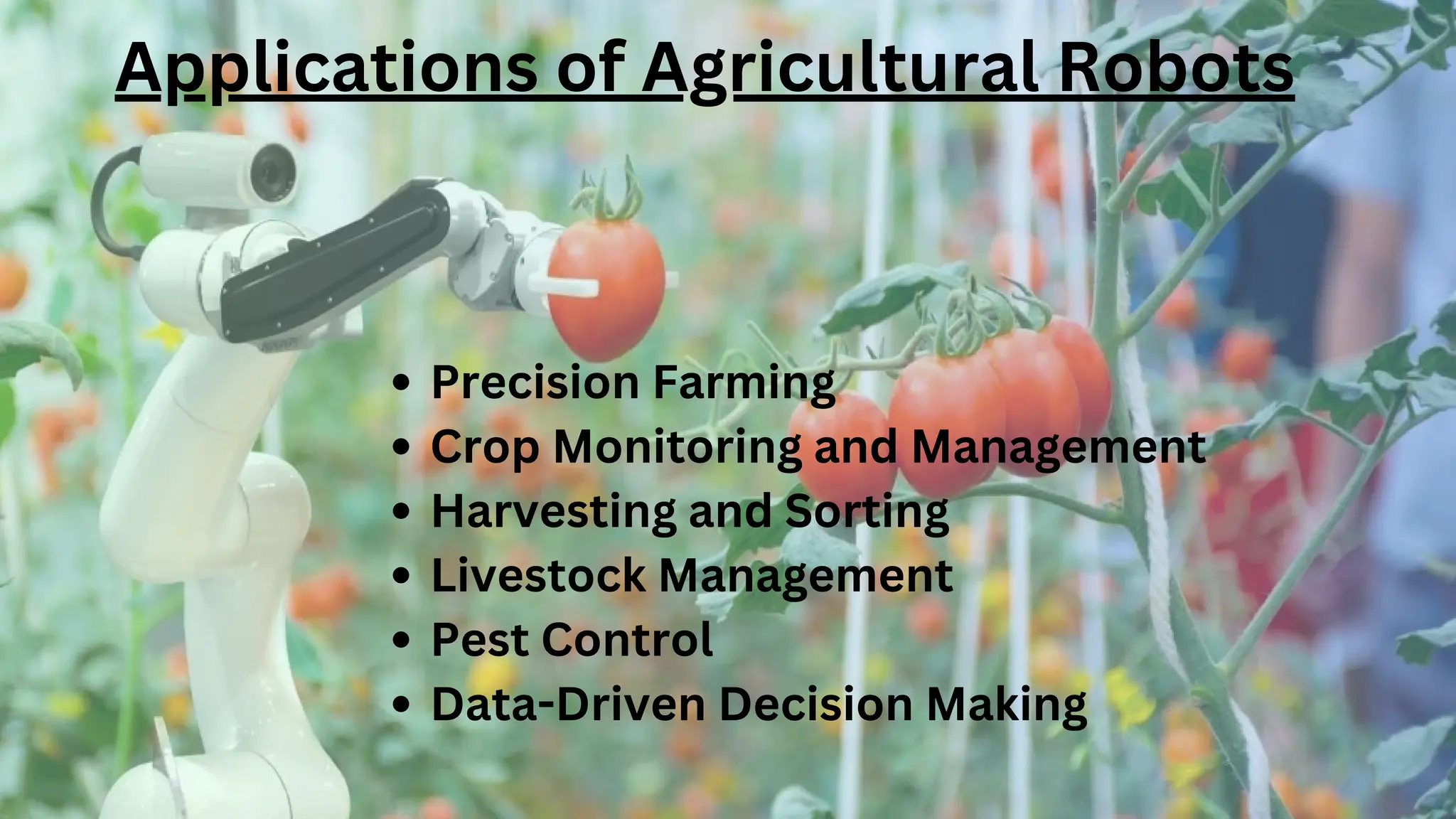 ROBOT PERCEPTION FOR AGRICULTURE AND GOOD PRODUCTION1.1.pdf